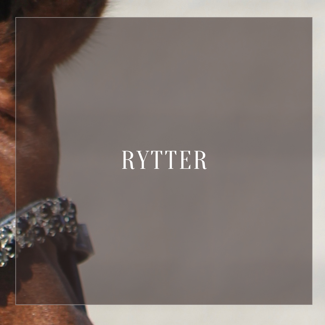 Rytter - byWeber