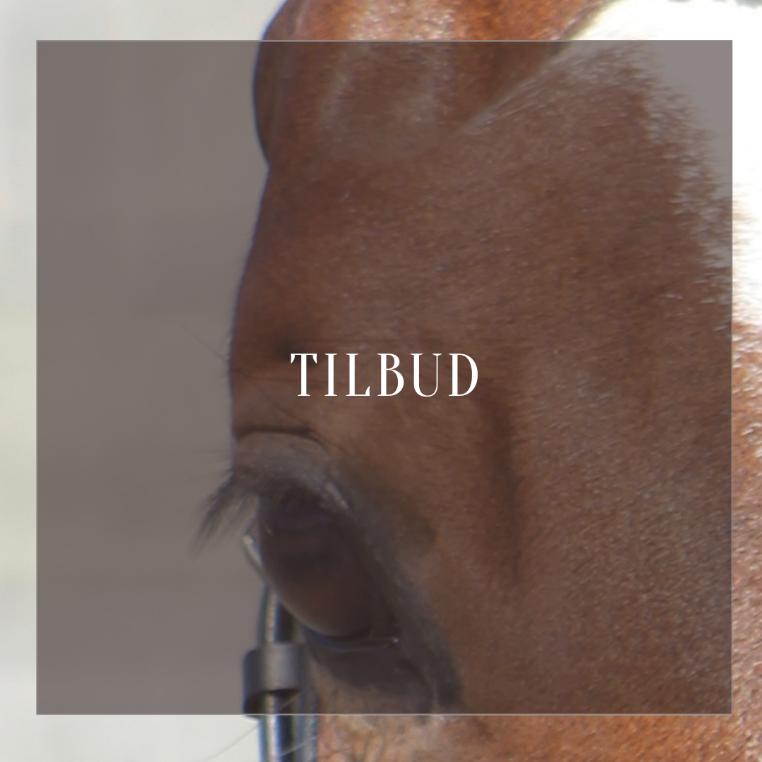 Tilbud - byWeber