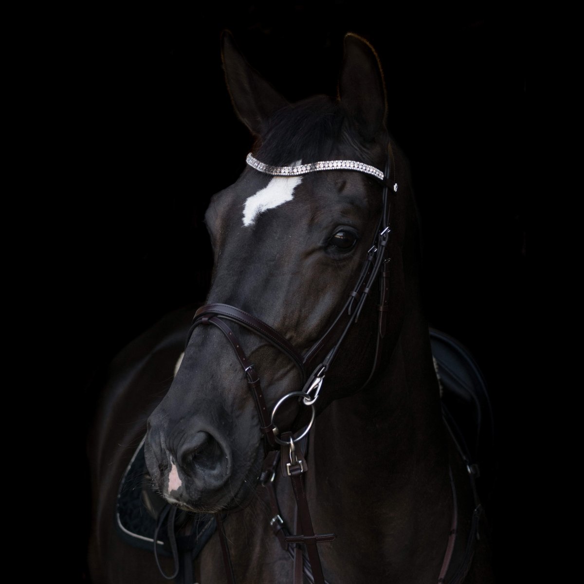 byWeber Trense "Alex" brun/sølv - Springtrenser - byWeber