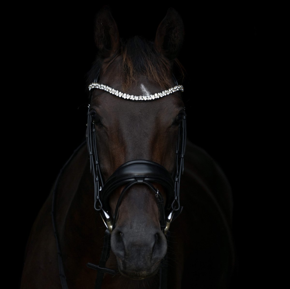 byWeber Trense "Amanda" sort/sort/sølv - Dressur og Allround Trenser - byWeber