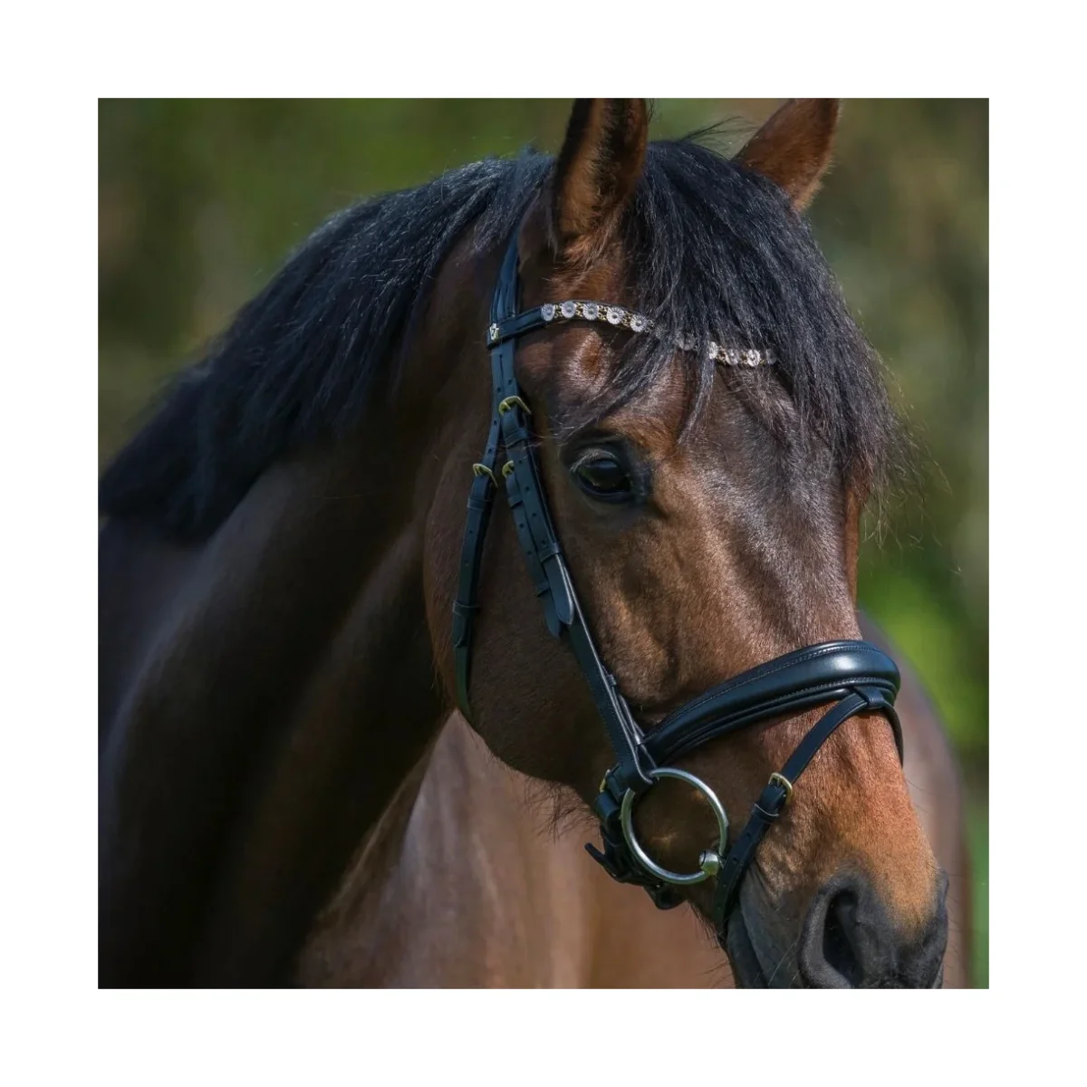 byWeber Trense "Grace" sort/guld - Dressur og Allround - byWeber