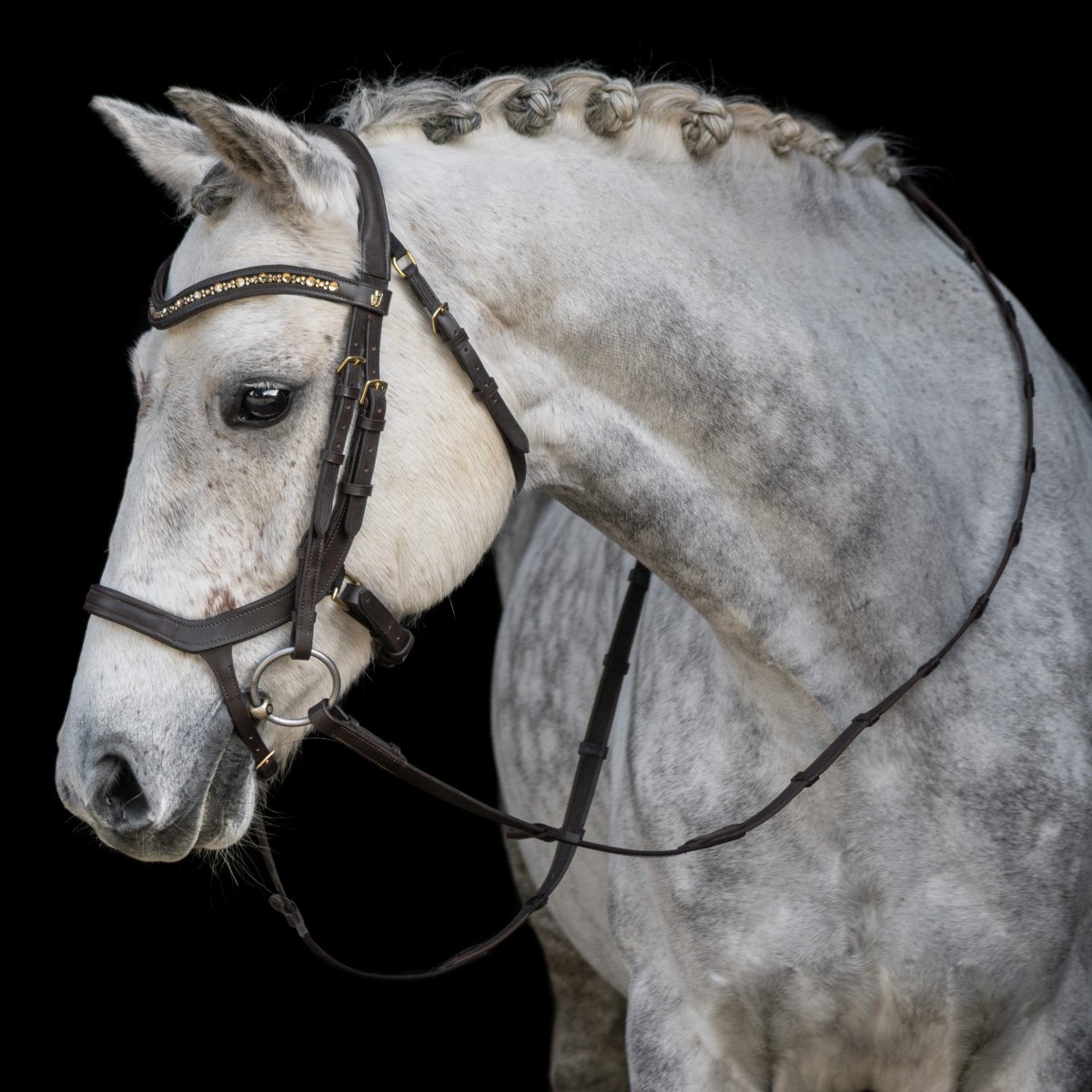 byWeber Trense "Cayenne" brun/messing - Dressur og Allround Trenser - byWeber